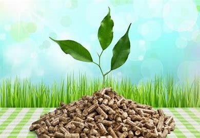Biomass From Plants - BETTER ENERGY SOLUTIONS